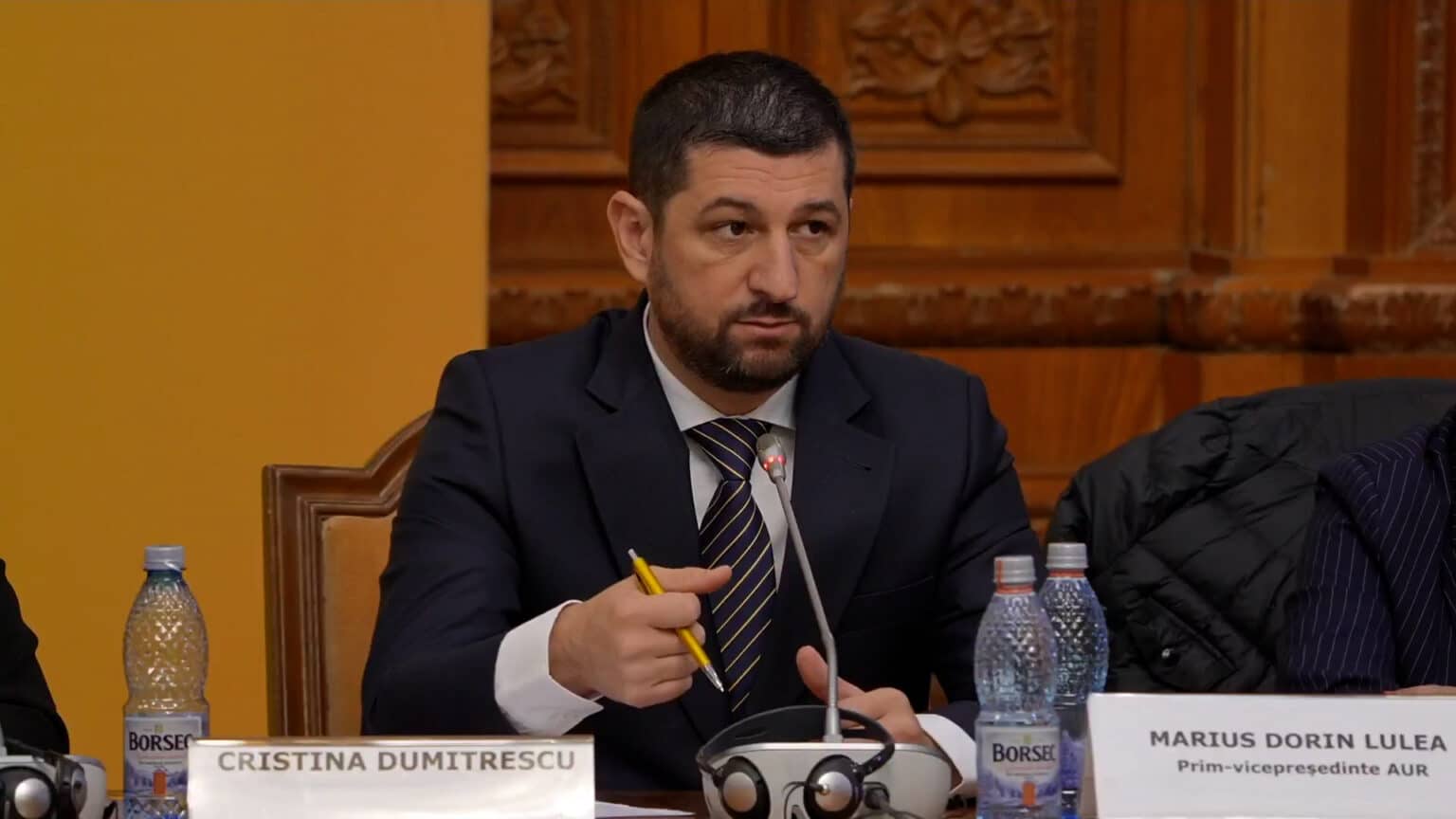 Marius Lulea: „Avem nevoie de campioni economici români, nu de ...